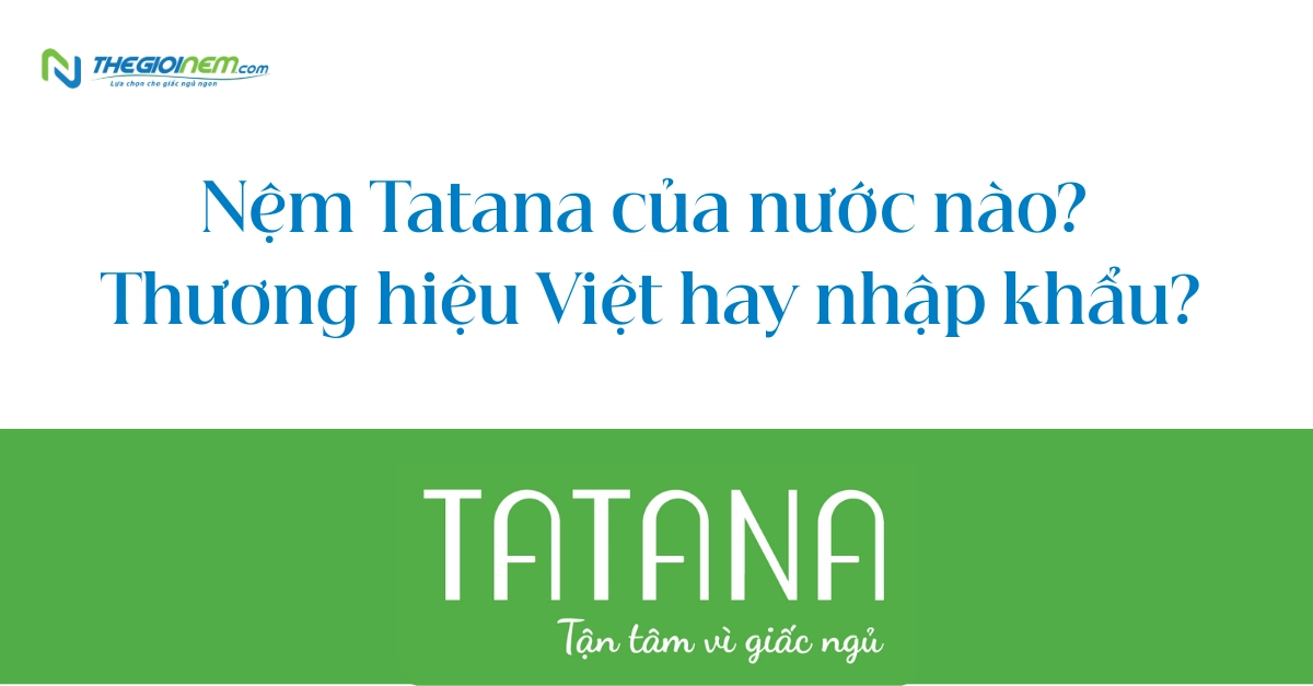 Nệm Tatana của nước nào? Thương hiệu Việt hay nhập khẩu?