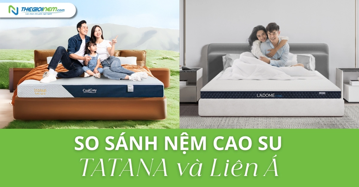 So sánh nệm cao su TATANA và Liên Á - loại nào tốt hơn?